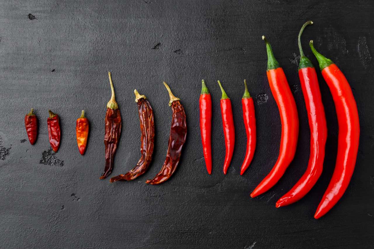Scoville Scale: Everything You Need To Know